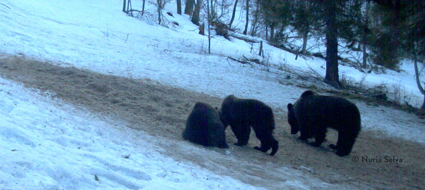 Stakeholders | BearConnect